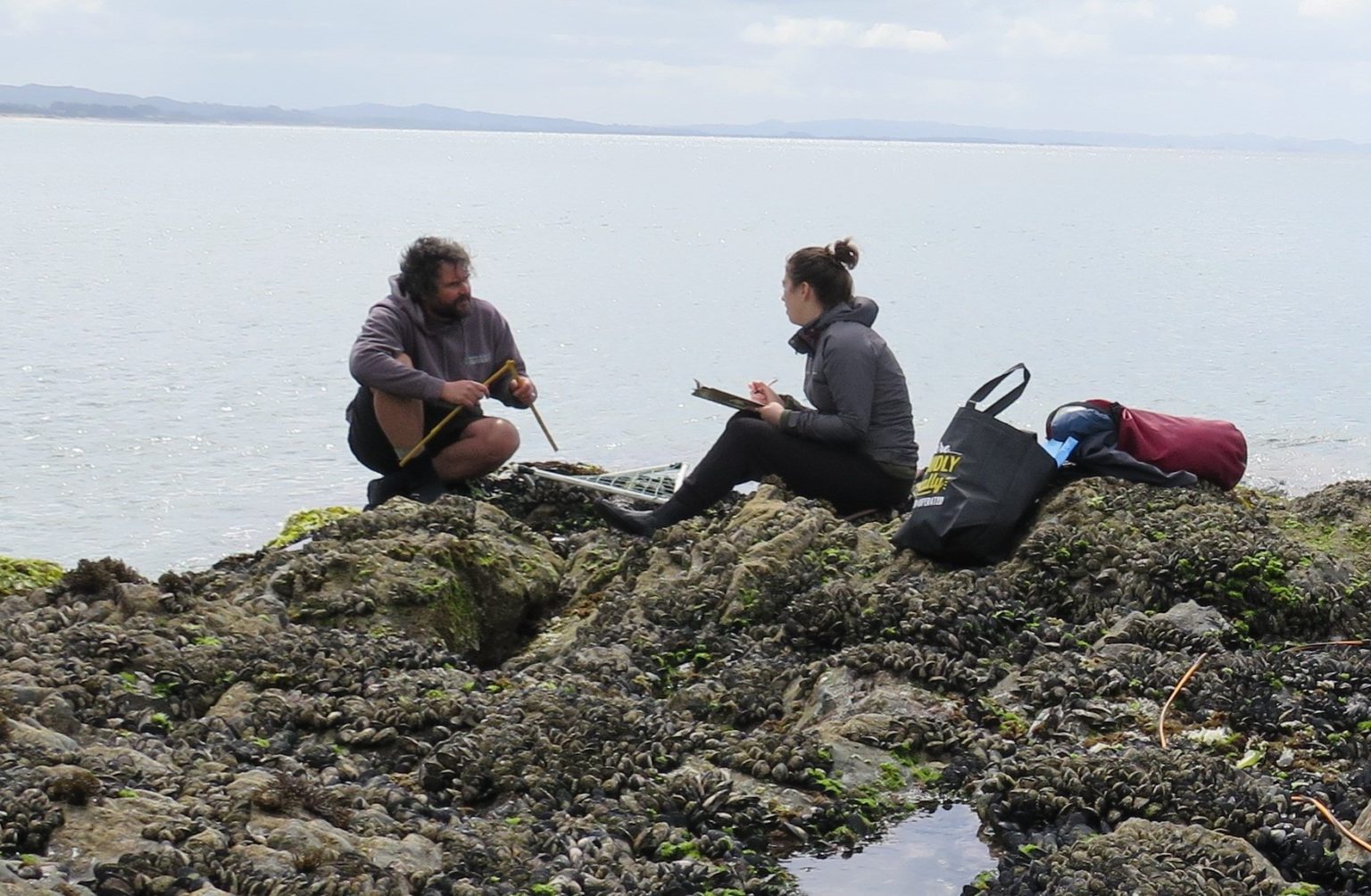 Understanding habitat features of native mussel reefs - Marine ...
