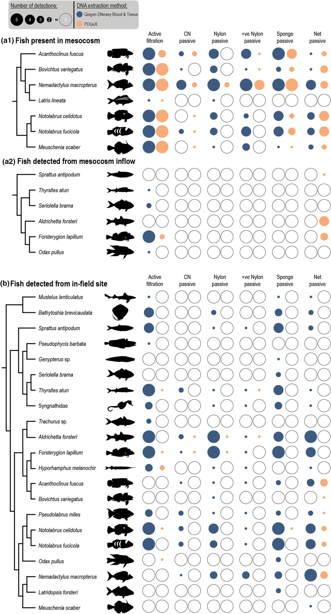 Harnessing passive sampling and DNA extraction innovations for eDNA ...