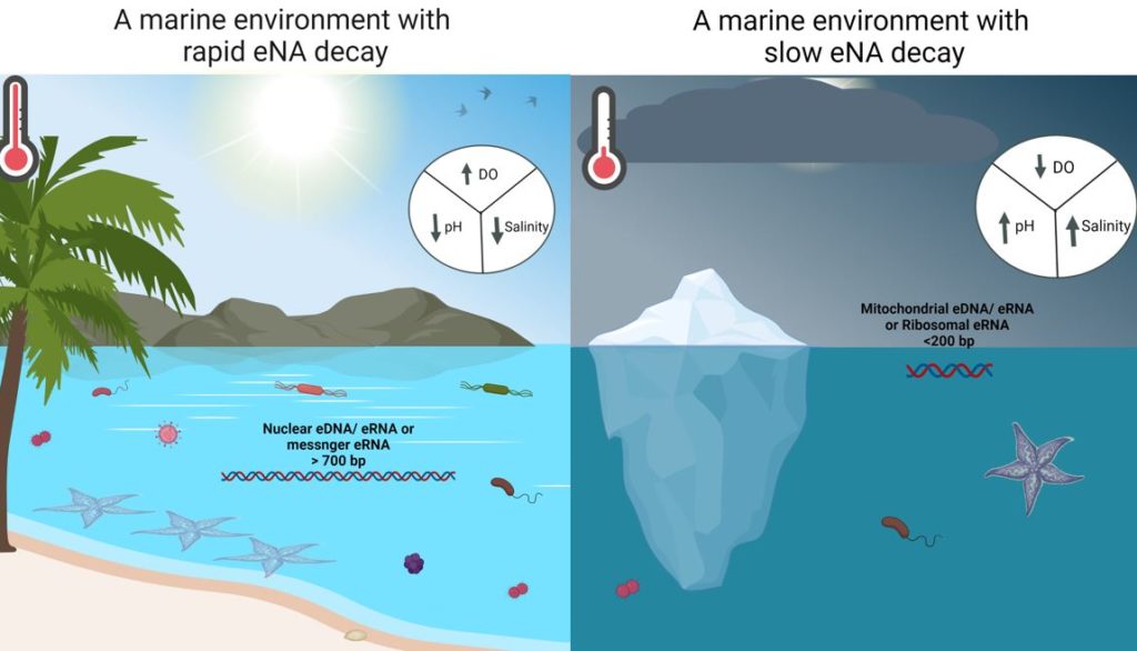 News - Marine Biosecurity Toolbox