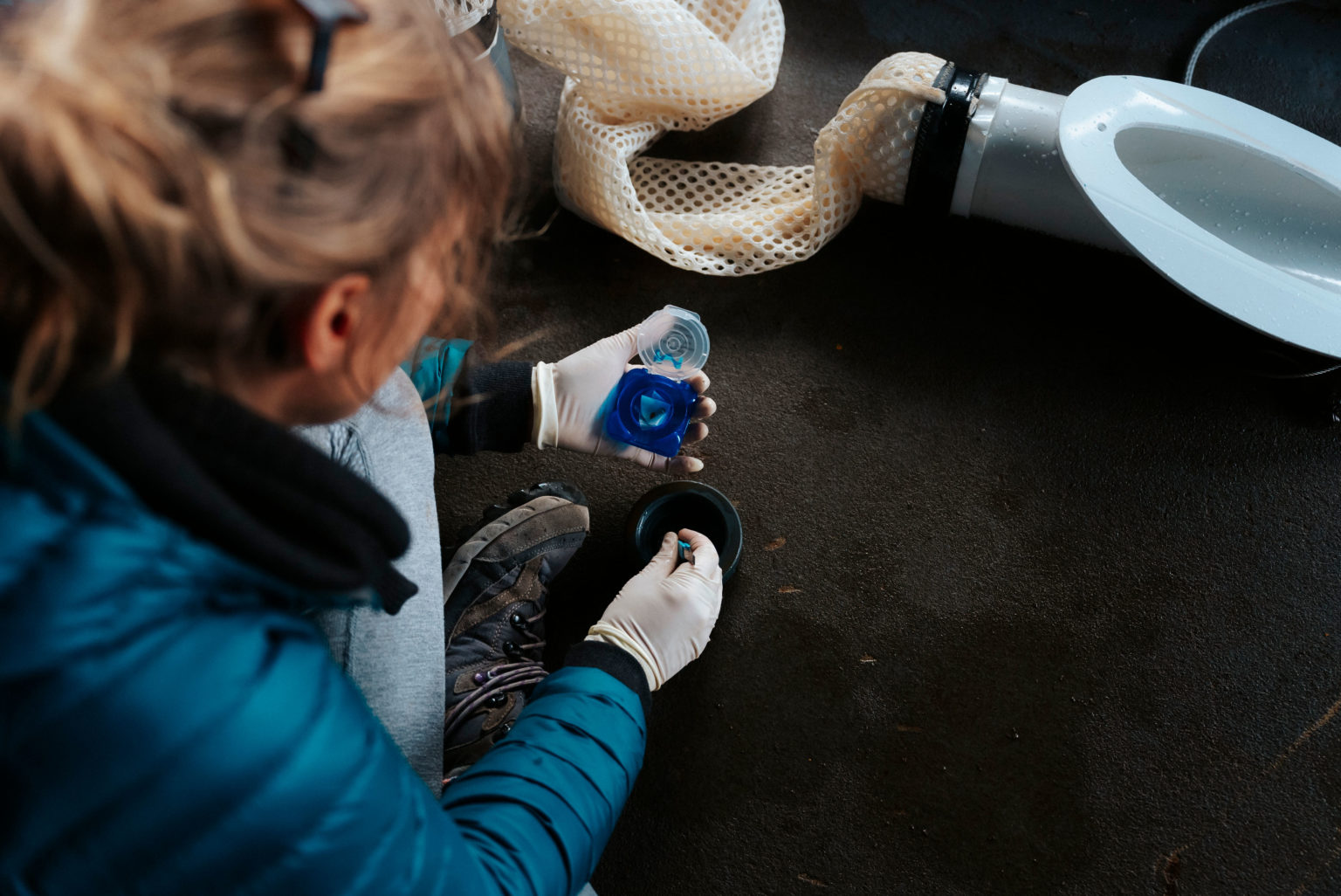 Environmental DNA tools embark on BLAKE expedition to the Subantarctic ...