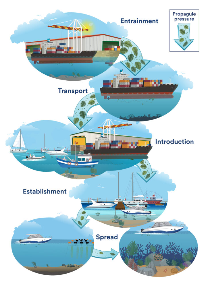A review on managing biofouling on submerged static artificial ...